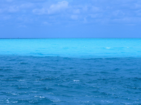 A Blog of One's Own: Why so Blue?