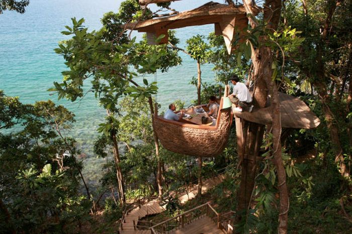 Amazing Tree Top Restaurant in Thailand (7 pics) | Daily Fun Pics
