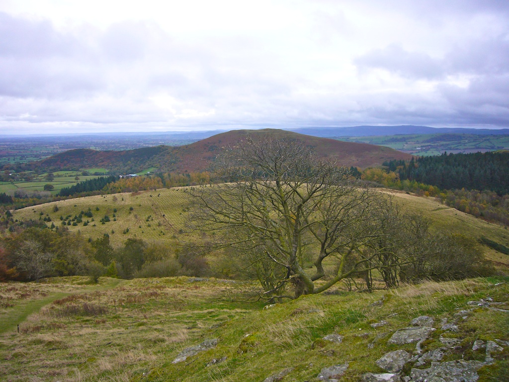 Shropshire Hill Walking: Across the Breiddens with the LDWA