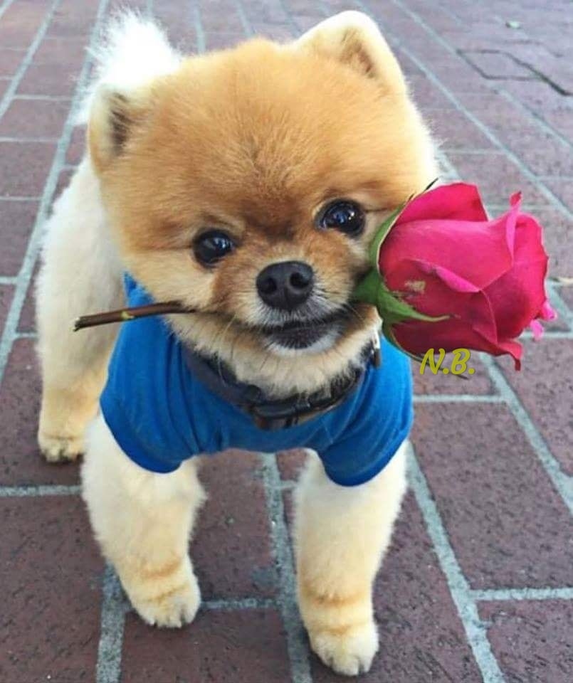 একটি শিক্ষনীয় পোস্ট --- - বাংলা সাহিত্য সংস্কৃতি ও চাকরির সম্ভার