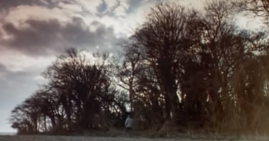 PUMPKINROT.COM: The Blog: The Snowman