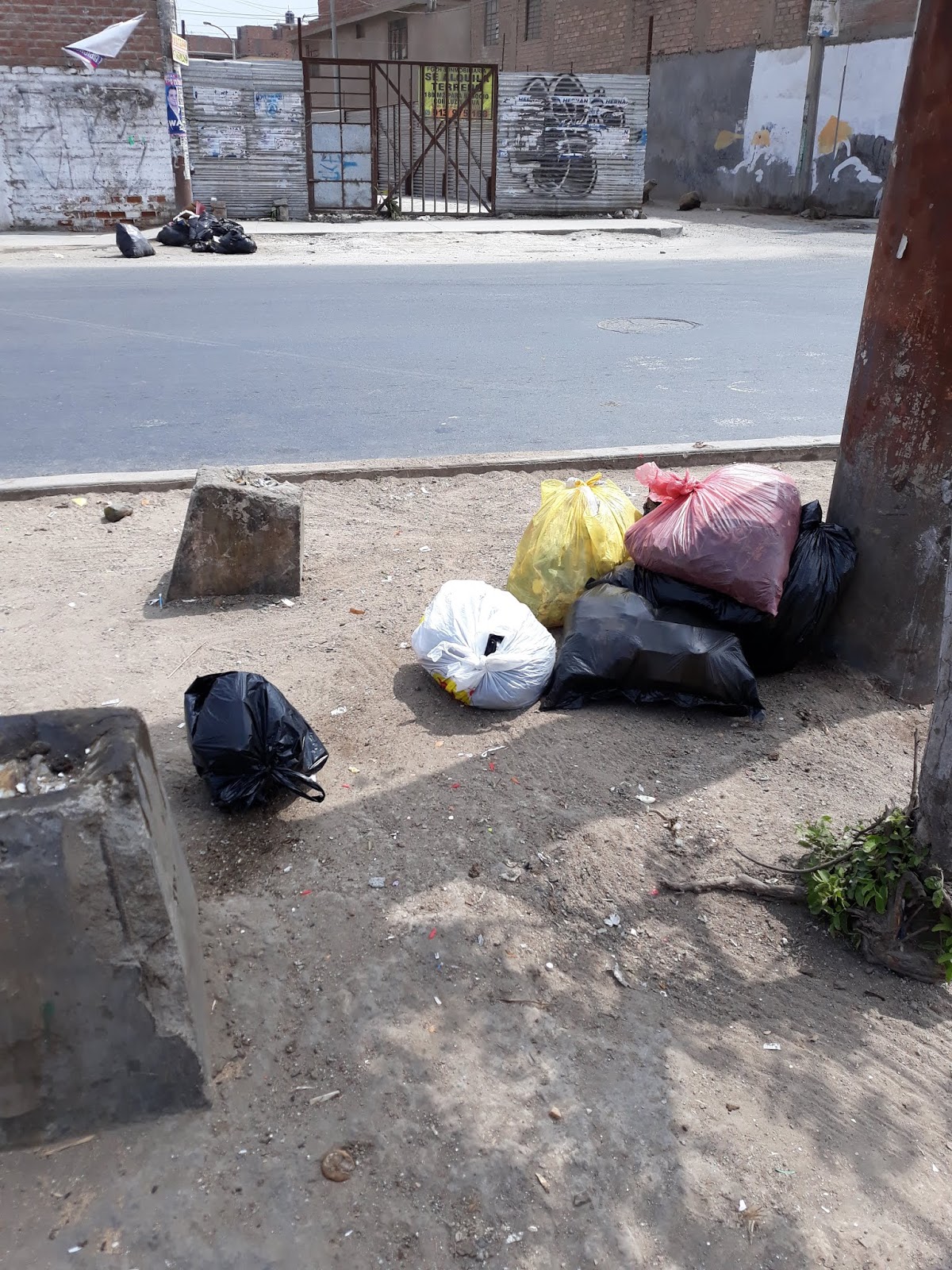 Cuida la Vida: LAS CONSECUENCIAS DE ARROJAR BASURA A LAS CALLES
