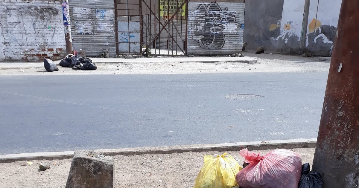 Cuida la Vida: LAS CONSECUENCIAS DE ARROJAR BASURA A LAS CALLES