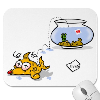 Cool Pictures: Funny fish wallpaper clipart pictures Gallery new ...