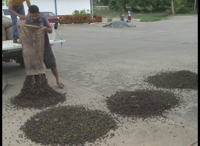 La Voz Digital: Gobierno de Yaracuy entregó primeros combos CLAP a ...