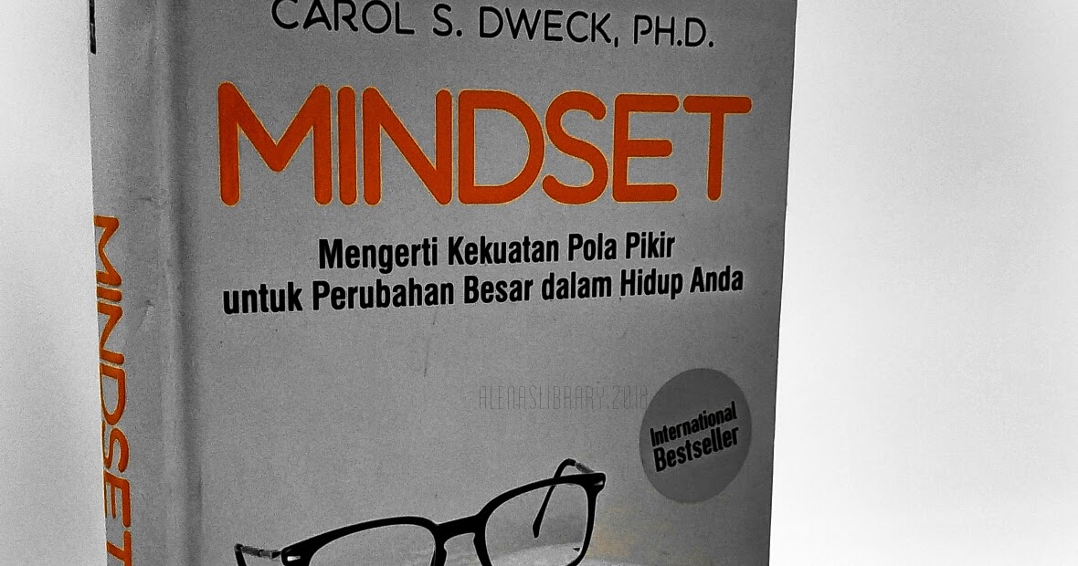 Mindset : Tentang Cara Berpikir Dan Hubungannya Dengan Cinta Serta Profesi