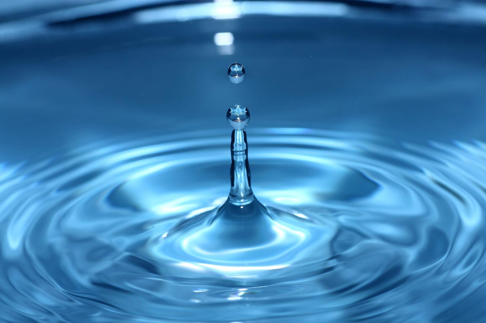 Biofísica del Homo Sapiens: Fluidos