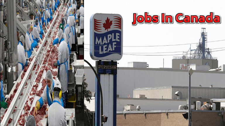 Careers at Maple Leaf Foods Company