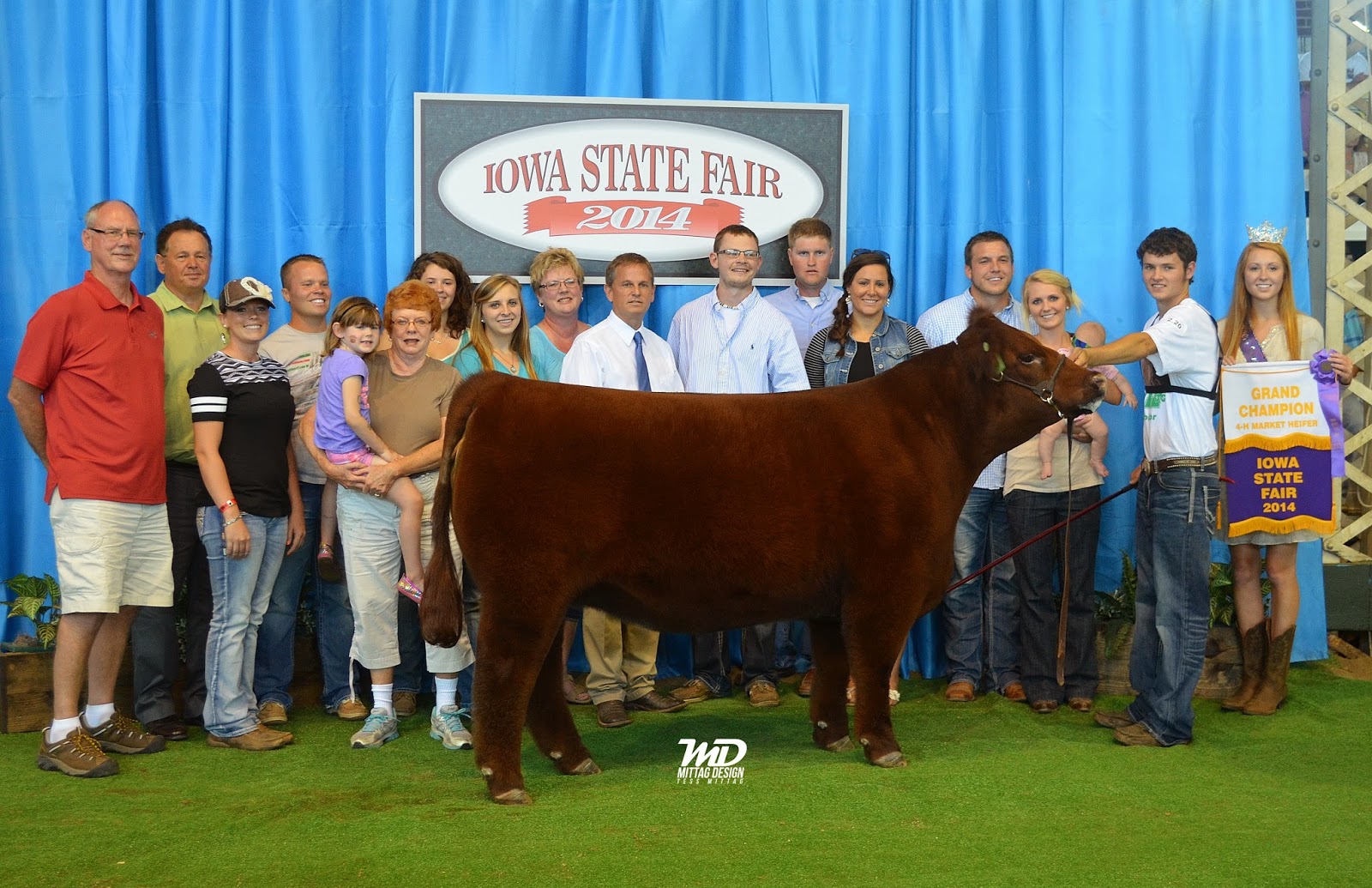 MITTAG Blog: Iowa State Fair | Top 3 Market Heifers