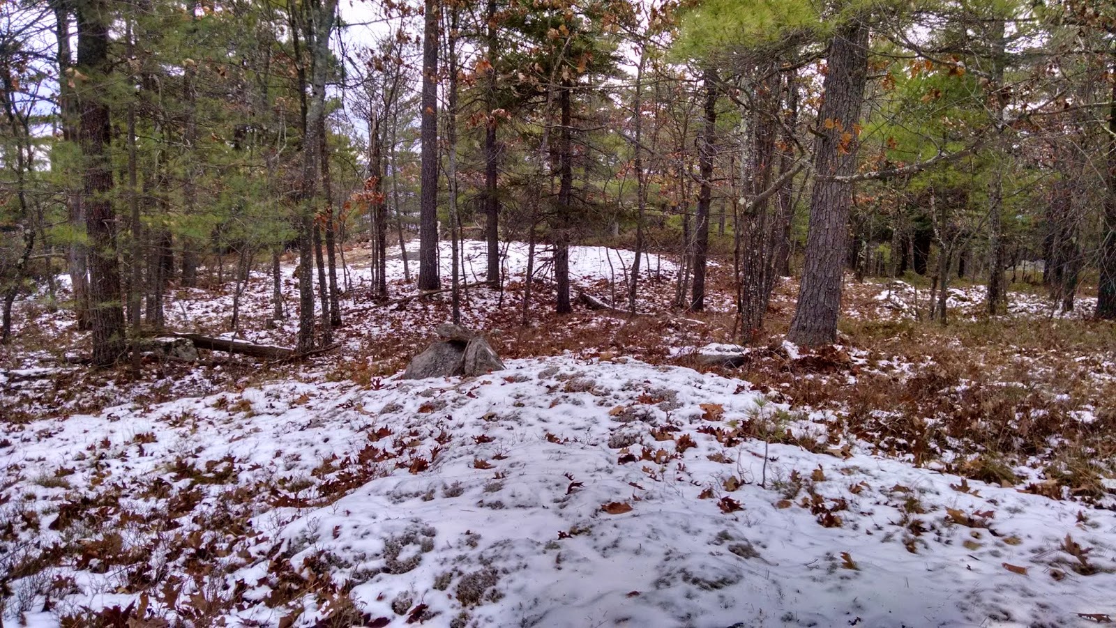 Off on Adventure: Split Rock Mountain - Hammond Pond Wild Forest - 11/22/14