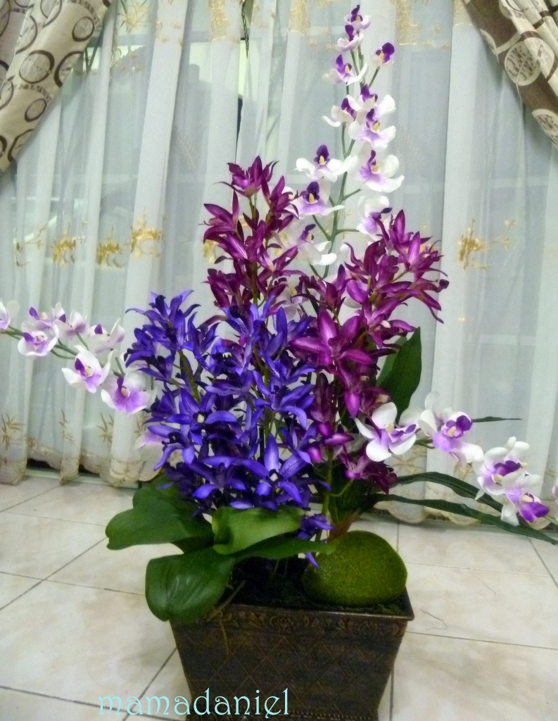 ..mama daniel danish dzikry dan dzarif..: Pasu biru idaman hatiku...