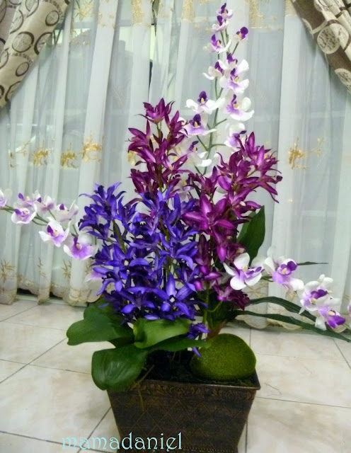 ..mama daniel danish dzikry dan dzarif..: Pasu biru idaman hatiku...