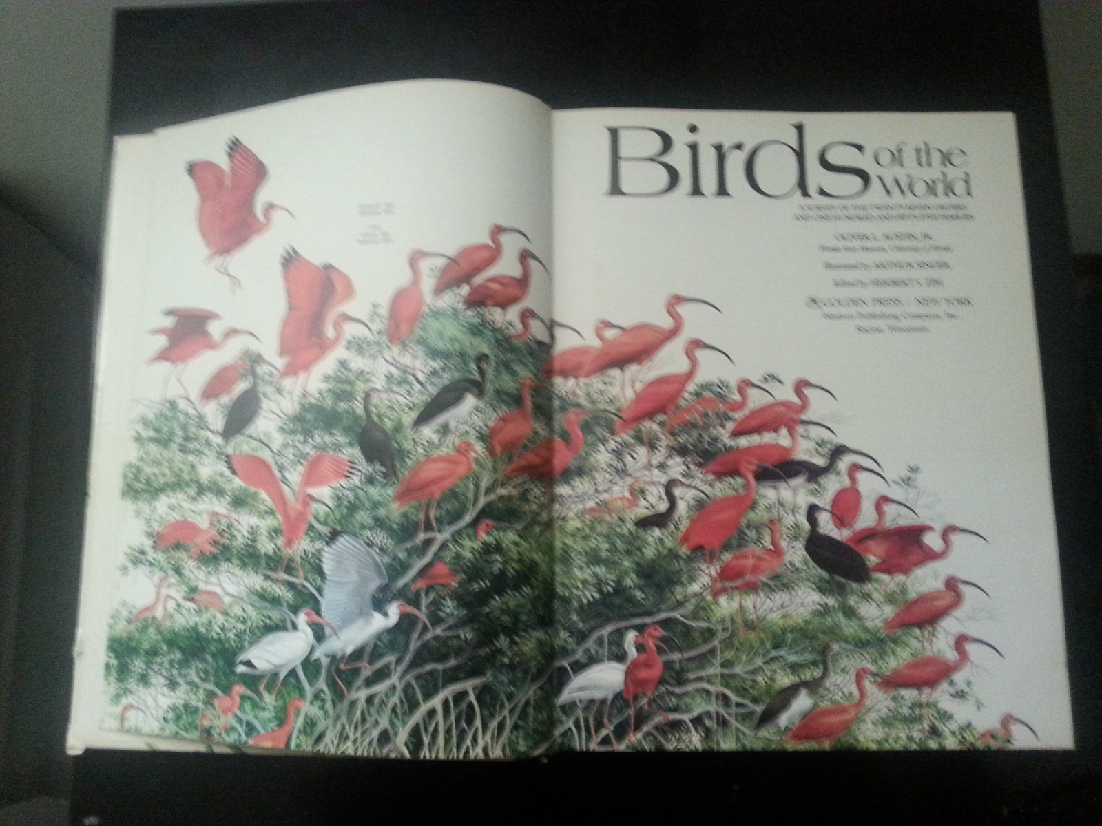 The Passionate Birder: A Seemingly Forgotten Book Every Serious Birder ...