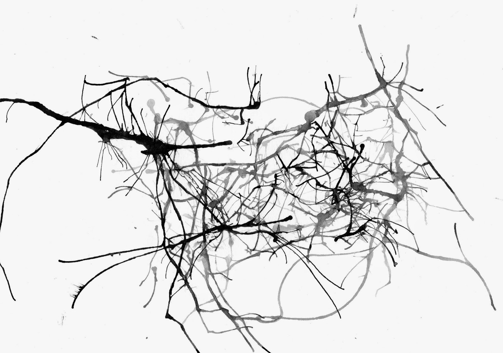 Drawing Skills: Part 3 - Assignment 3 - Drawing undergrowth