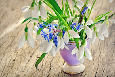 Biblioteca IMI-NOVA: Activităţi