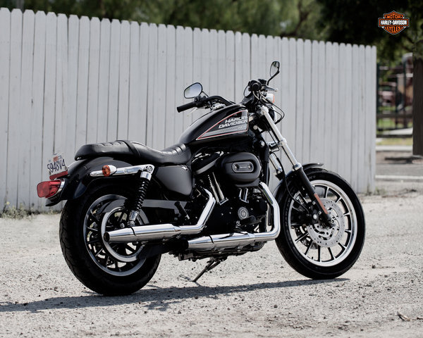 moto istruzione per l'uso : Harley Davidson 883 roadster