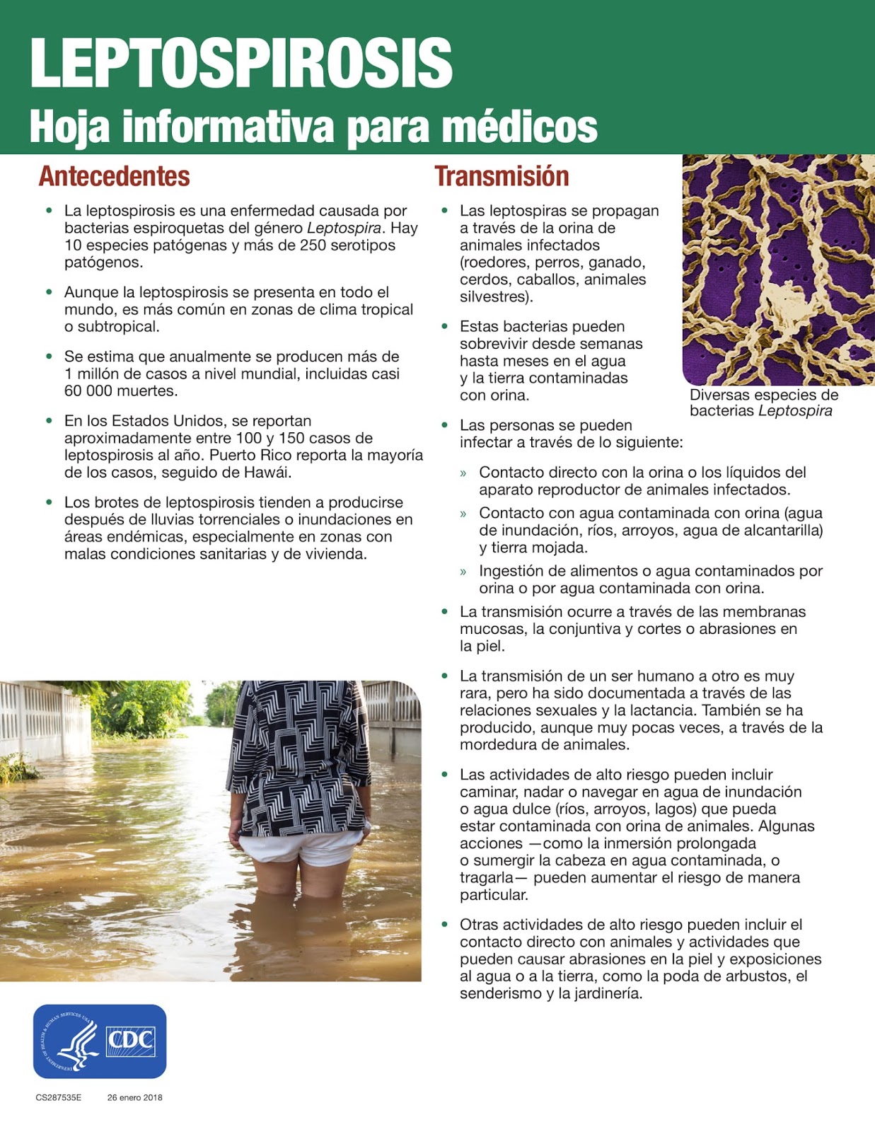 EMS SOLUTIONS INTERNATIONAL by @DrRamonReyesMD marca registrada: ¿Qué es la Leptospirosis y cómo ...