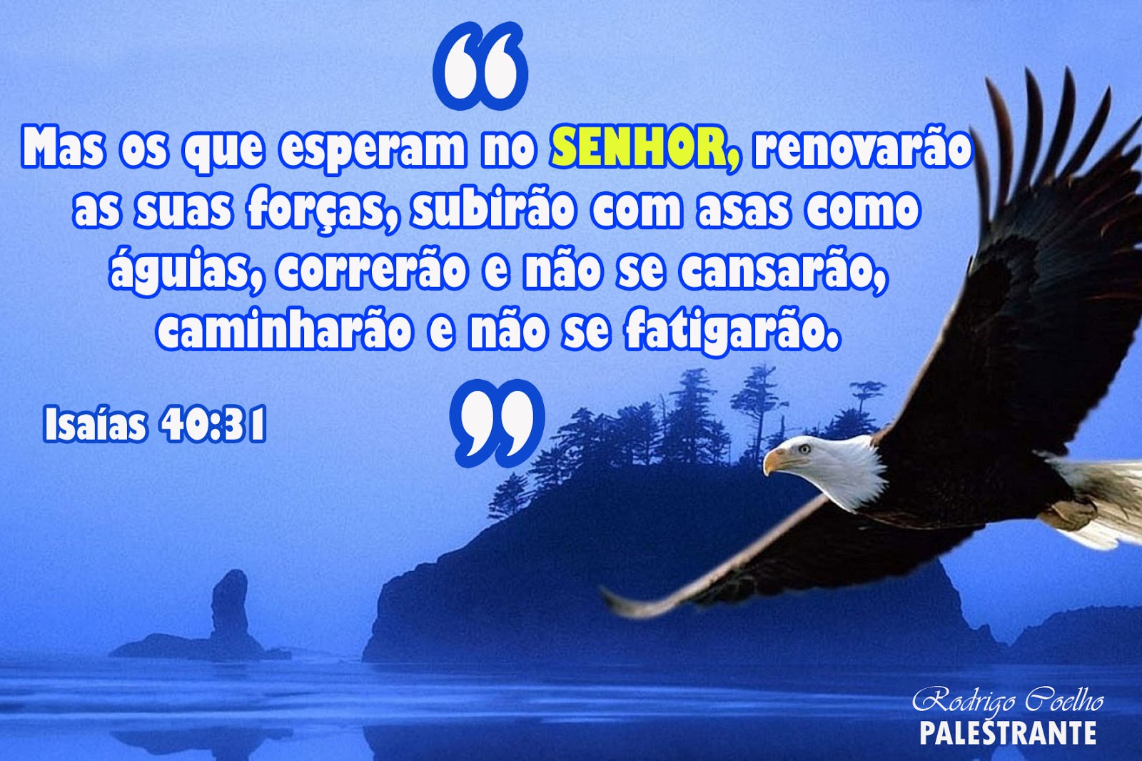 Palestrante Rodrigo Coelho Mas Os Que Esperam No Senhor Renovarão