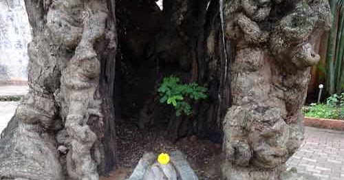 Shivling – The Formless – Symbolic Story on the First Shivling Made By ...