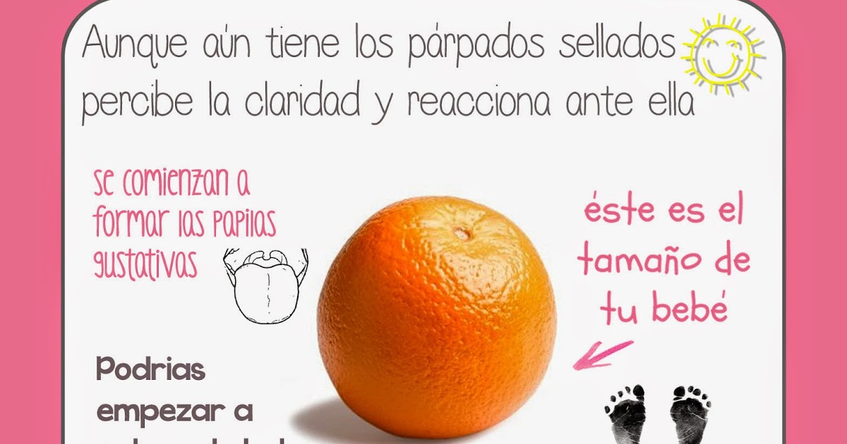 15 Semanas De Embarazo Fotos