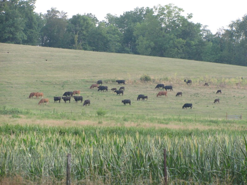 Murray & Candace's Adventures: Arrival in Indiana, USA...