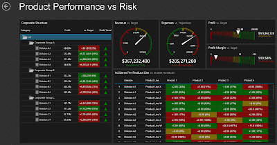 Causal Capital: Risk Dashboards