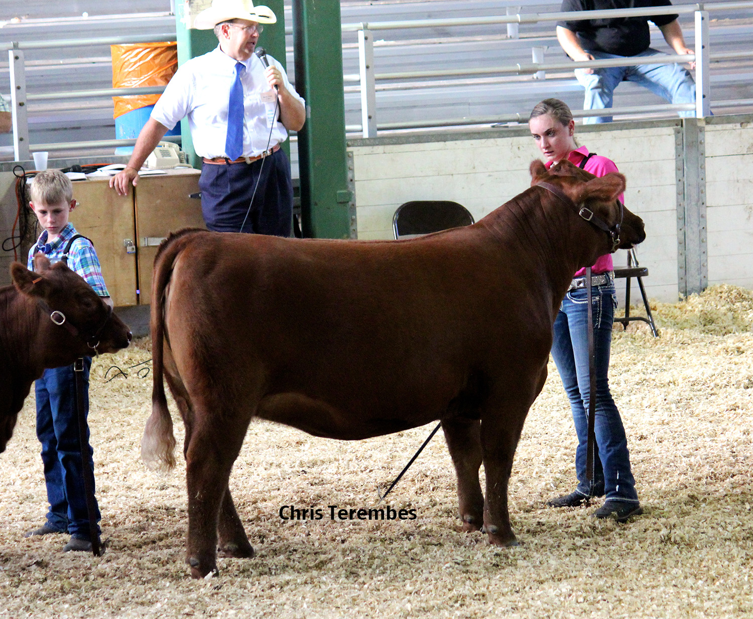 Executive Sires, Inc.: 2013 Illinois State Fair - Champion Red Angus ...