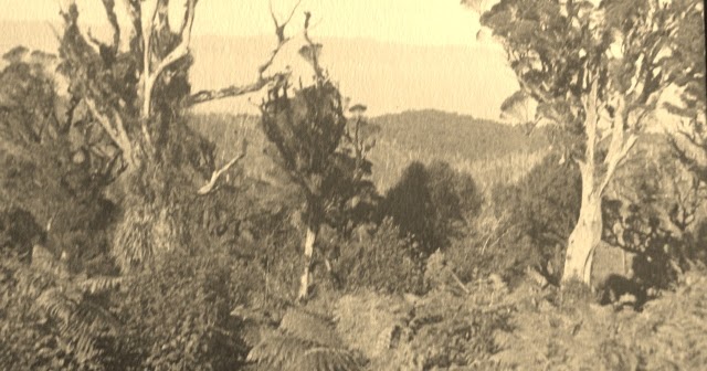 Part of the Past NZ History: Hunua Ranges - Years Before and After WWII
