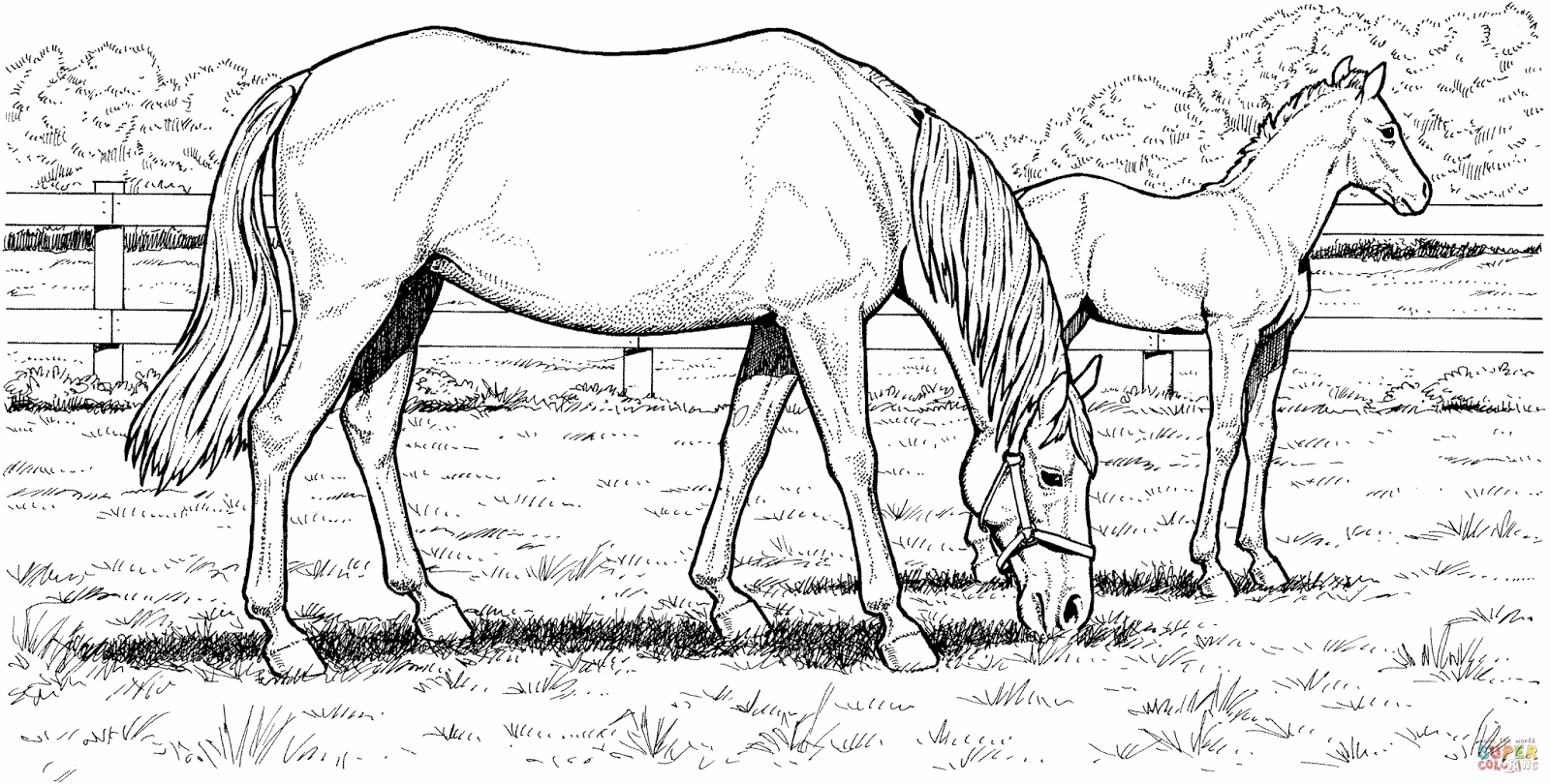 Rolf and Ranger's Advent Calendar: December 12, 2015