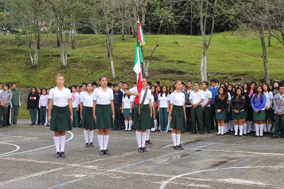 COLEGIO DE BACHILLERES DEL ESTADO DE VERACRUZ "COBAEV 46"