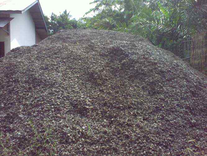 BISNIS HASIL BUMI INDONESIA (INDONESIA BUSINESS NATURAL RESOURCES ...