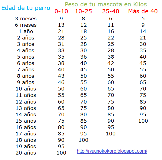 Luca Geremia: Edad perros y gatos en años humanos