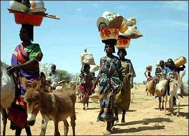 Geo - Conceição : SUDÃO DO SUL