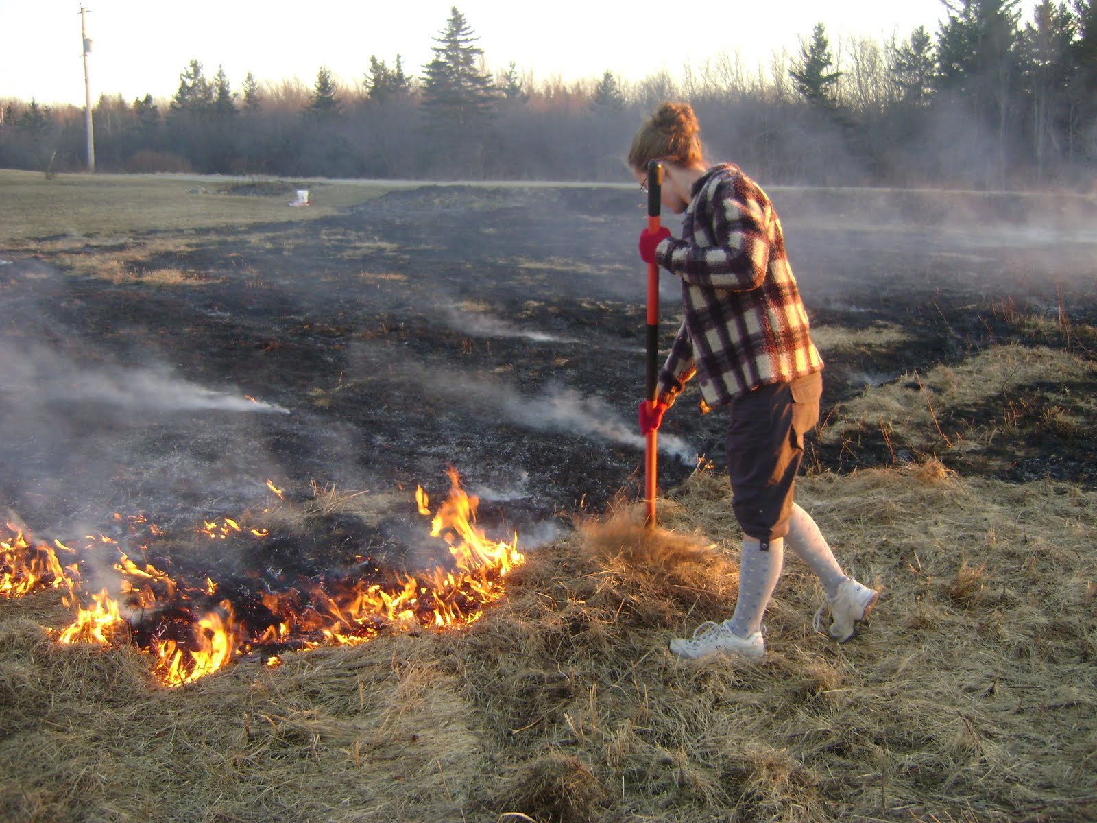 A Living Sacrifice: Burning the Field