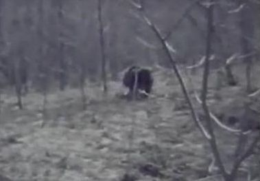 Please enable JavaScript