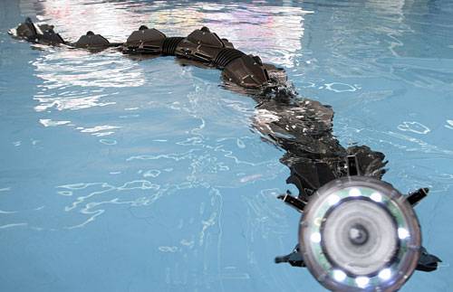 Shigeo Hirose's ACM-R5 Snake Robot Goes For A Swim