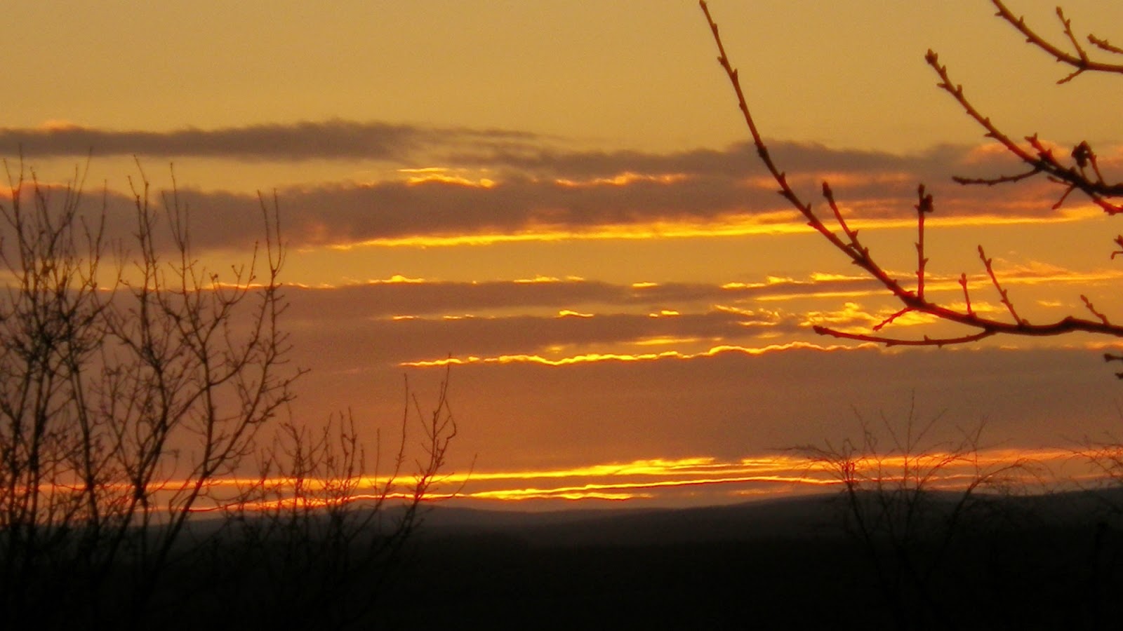 The Glebe Blog: An omnium-gatherum of images