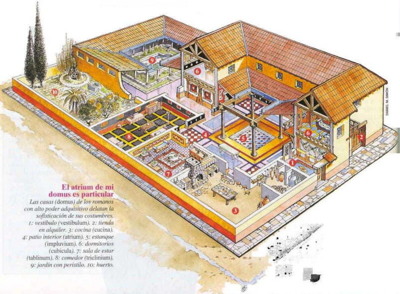 Domus Dulcis Domus: Domus