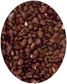 Jammu and Kashmir Medicinal Plants Introduction Centre: kiwi fruit seeds