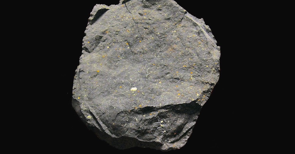 Where Is Everybody?: The Murchison Meteorite and the Origin of Life