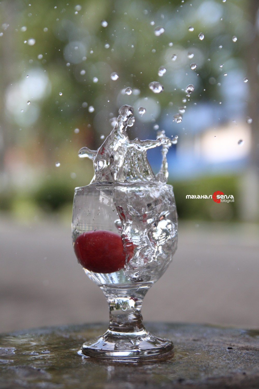 Wedding n Prewedding: PANNING, BLURING, FREEZING