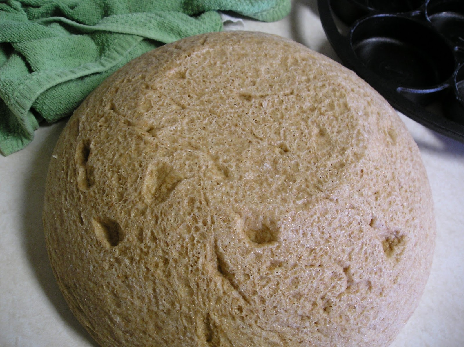 Thoughts from Frank and Fern: 100% Fresh Whole Wheat Bread