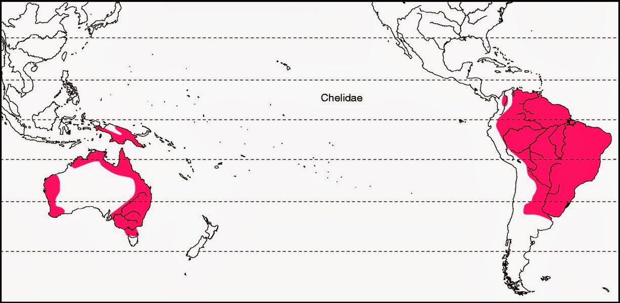 Biology of the Reptilia
