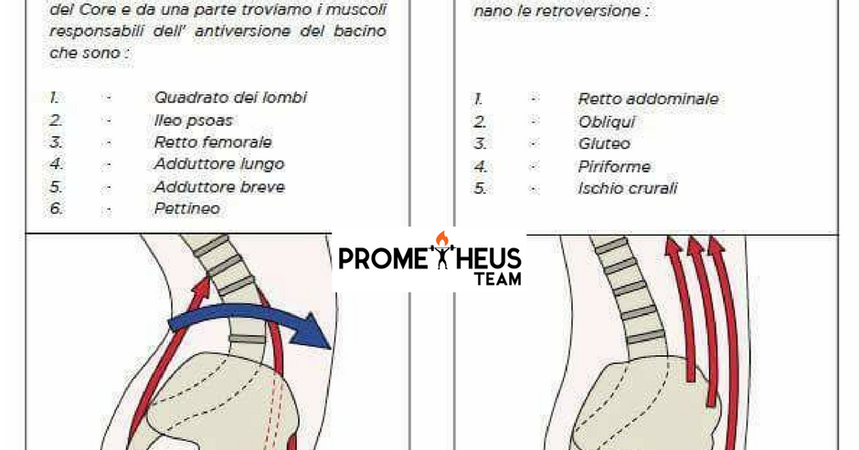 RETROVERSIONE vs ANTIVERSIONE DEL BACINO: un analisi razionale by ...