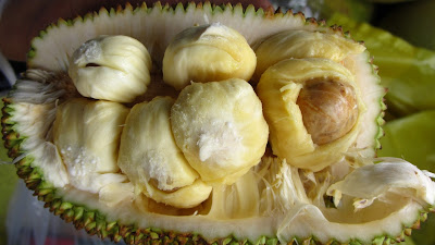 Health benefits of Cempedak Fruit | Oze Marketing | Memo Plus Gold ...