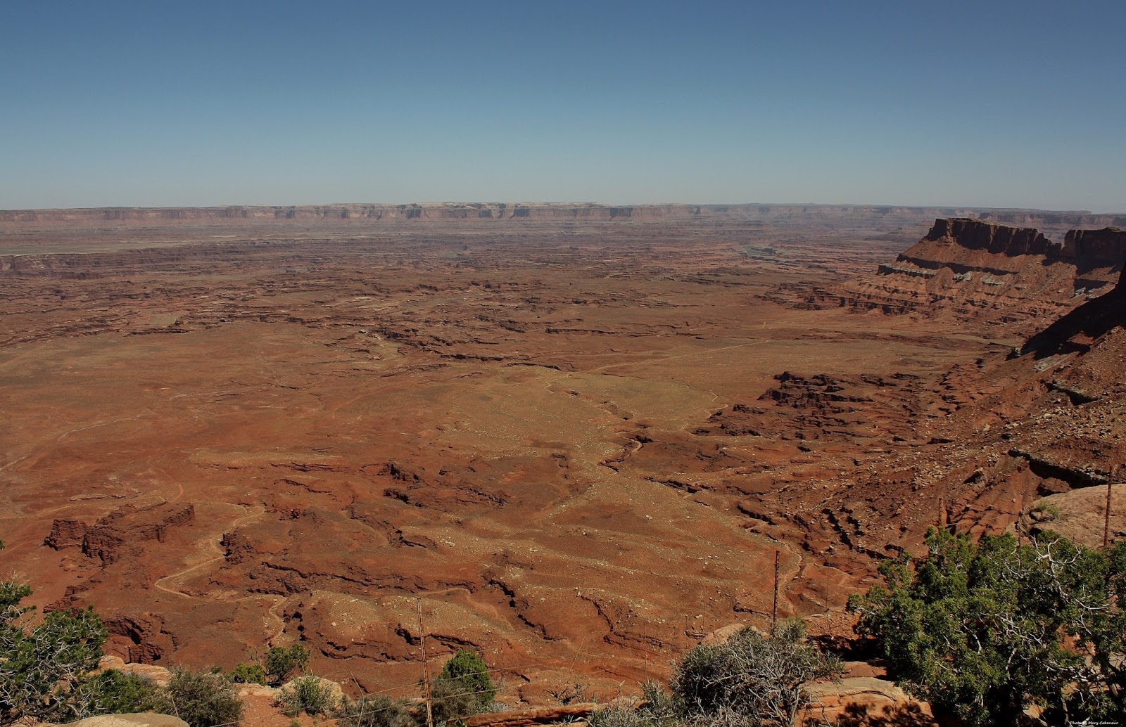 The Southwest Through Wide Brown Eyes: On the Edge at the Needles Overlook