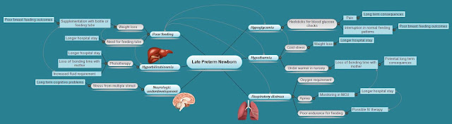 Nursing and Education: MindView concept map for Late-Preterm Newborns