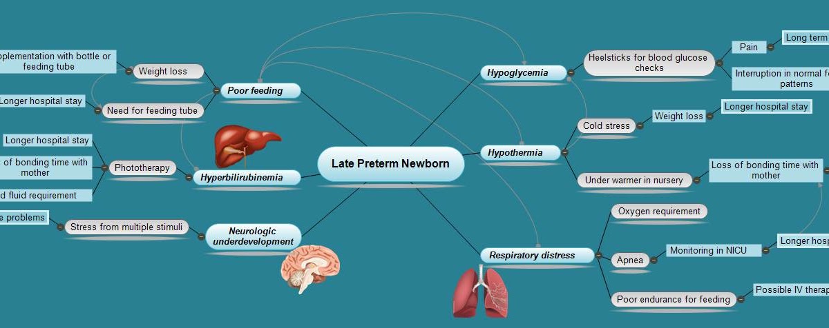 Nursing and Education: MindView concept map for Late-Preterm Newborns