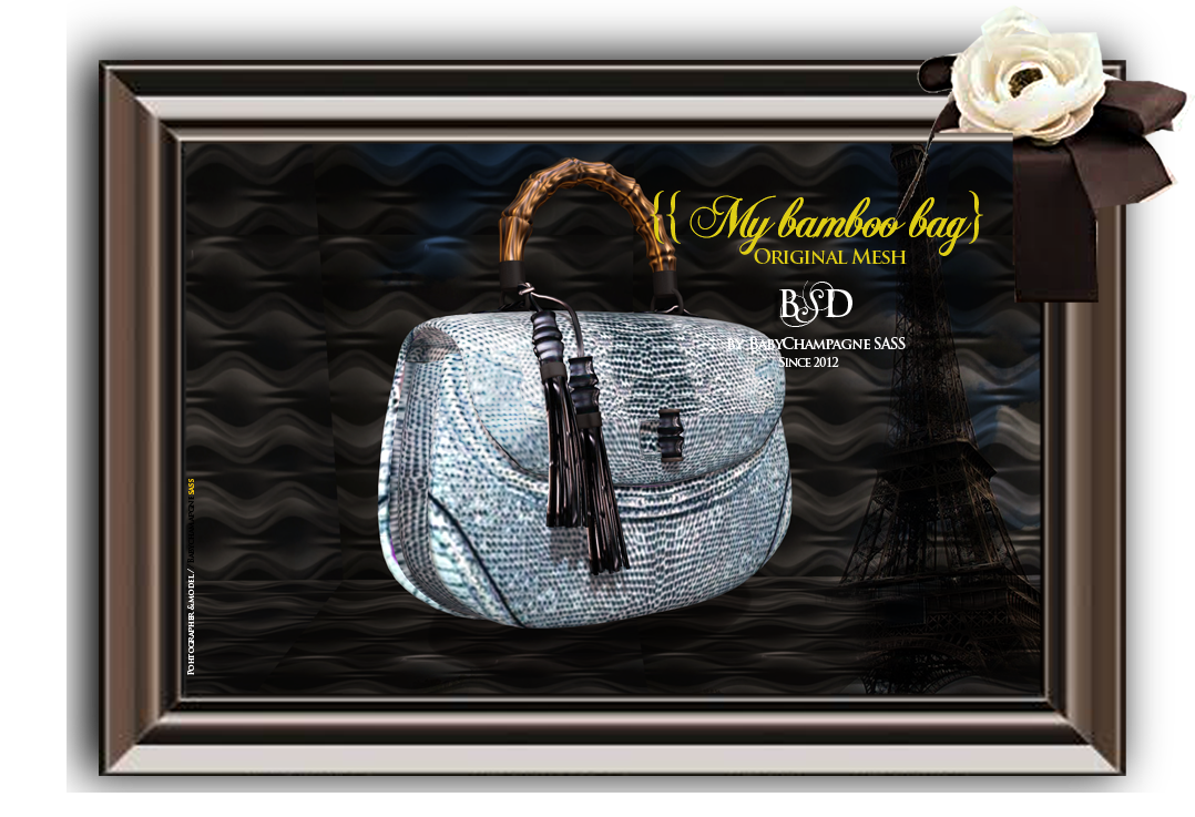 Babychampagne Sass's Symposium of Fashionista : {{my bamboo bag }} fr ...