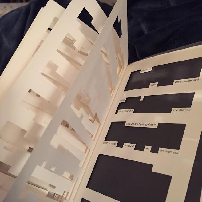 Avid Reader's Musings: Tree of Codes